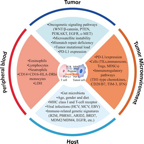 Frontiers Prognostic Factors For Checkpoint Inhibitor Based