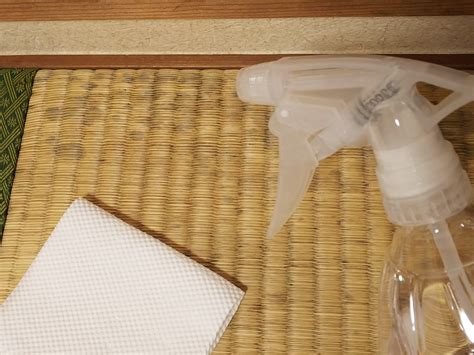 畳のカビにご用心！家庭でできる予防方法と除去方法を解説 知って得する！ギフトアイデア帳ぶろぐ