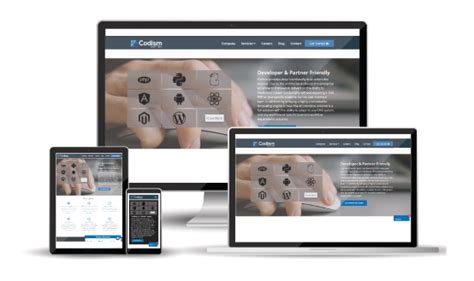 top custom application development in usa — codism by tasawuk medium