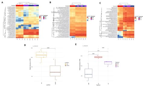 Shotgun Metagenome Sequencing Download Scientific Diagram