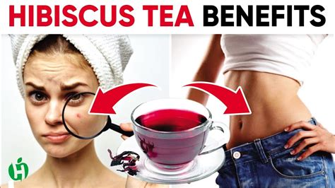 Hibiscus Tea Benefits Health Benefits Of Hibiscus Tea I Hibiscus Tea