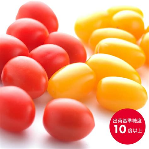 【楽天市場】【ふるさと納税】 高糖度 ミニトマト アメーラルビンズ ゴールド トマト 5パック セット 糖度 10度 以上 化粧箱入り 産地