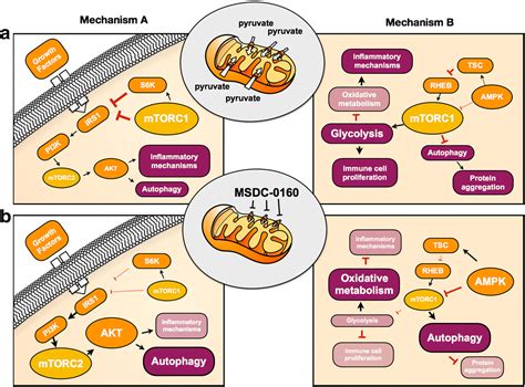 Targeting Energy Metabolism Via The Mitochondrial Pyruvate Carrier As A