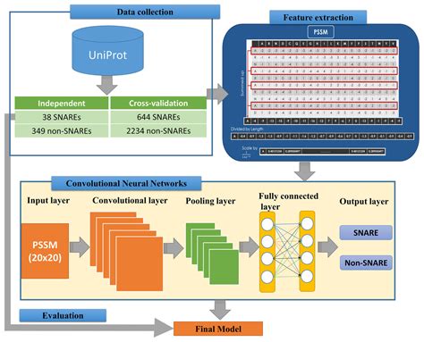 snare cnn a 2d convolutional neural network architecture to identify