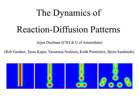 Ppt The Dynamics Of Reaction Diffusion Patterns Powerpoint