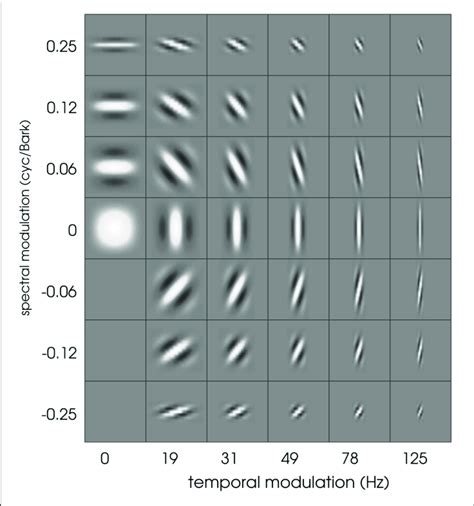 the full gabor filter bank each square has a width of 100 ms and a