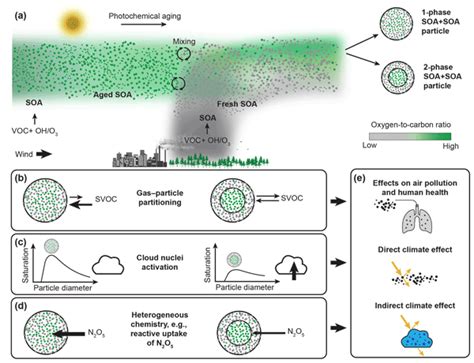 Acp Not All Types Of Secondary Organic Aerosol Mix Two Phases