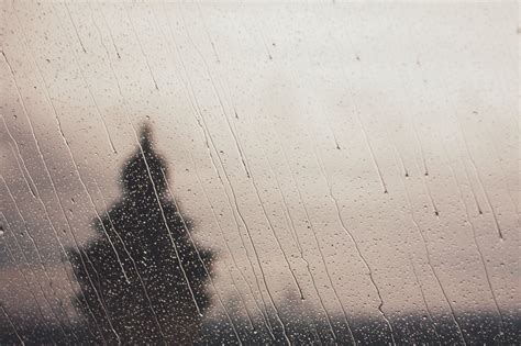 Wallpaper Trees Landscape Sand Reflection Shadow Snow Rain
