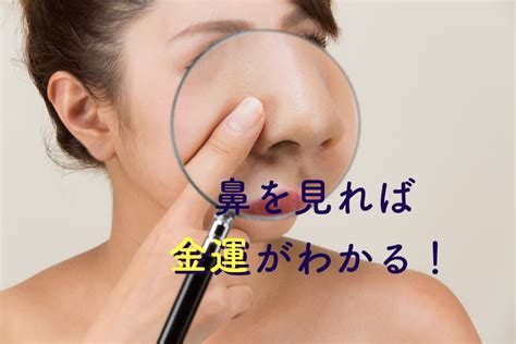【鼻の人相学】鼻の大きさ・形状からわかる金運や性格を徹底解説！ りこゆる