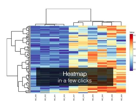 heatmap analysis