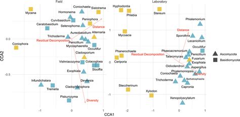 Canonical Correspondence Analyses With The 25 Most Abundant Genera In