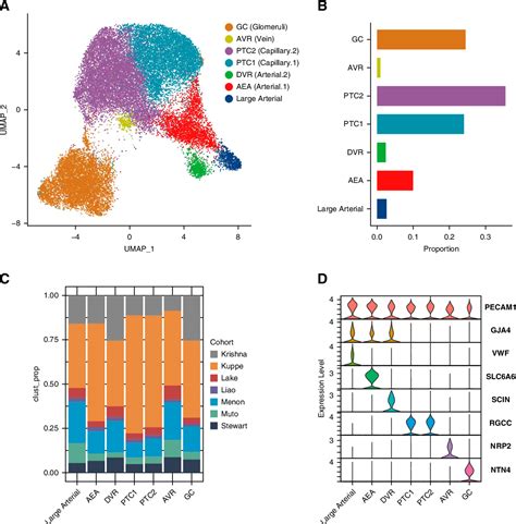 Figure 1 From Integrated Single Cell Transcriptomic Atlas Of Human