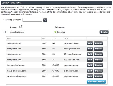 managing your dns liquid web