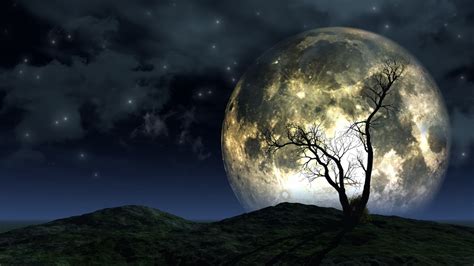 La Leyenda De Amor De La Luna Y El Sol Alicia Galván