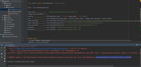 python i am getting error when i use a third party haar classifier