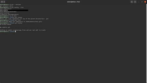 在我的配置中，git init 仍然给我 master 而不是默认的分支名（main）。