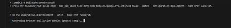 angular 14 stuck on generating browser application bundles phase
