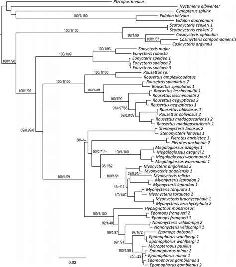 Biogeographic Reconstruction Using Diva Revealed Four Independent
