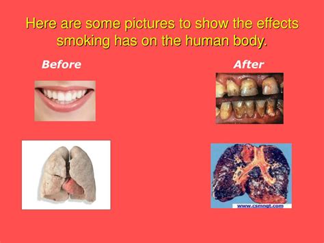 Ppt Oli To Understand The Effects Of Smoking On The Human Body