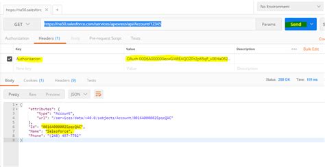 amit salesforce salesforce tutorial test salesforce api