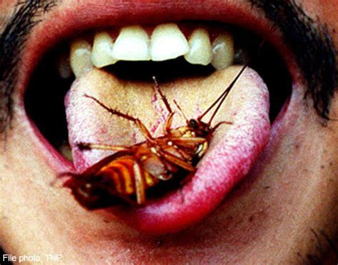 man dies after cockroach worm eating contest