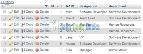 hibernate projections tutorial examples java code geeks 2022