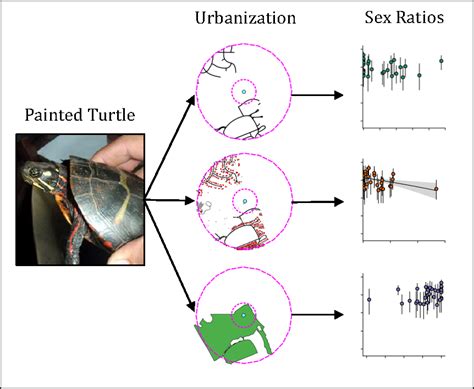 diversity free full text assessing the impacts of urbanization on