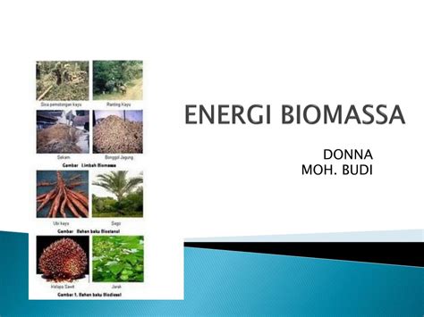 Ppt Energi Biomassa Powerpoint Presentation Free Download Id 3227251