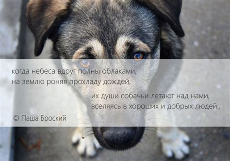 Стихотворение Владимира Шебзухова «Инициатива
