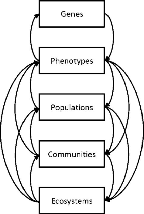 Conceptual Model Of Dynamic Eco Evolutionary Feedbacks Demonstrating