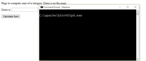 common gateway interface testingdocs