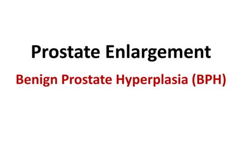 Male Reproductive System Diseases And Procedures Ppt