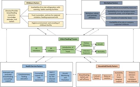 Conceptual Framework Of Factors That Influence Breastfeeding Practices