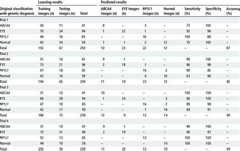 Detailed Training And Test Results Based On Fundus Photography Images