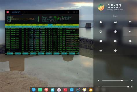 install deepin desktop in ubuntu the linux user