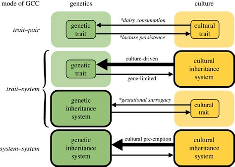 Coevolution Diagram