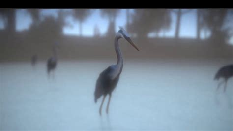 unity water shader youtube