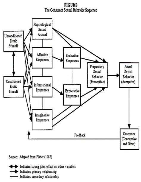 sexual behavior anal sex oral sex sexual activity sexual orientation