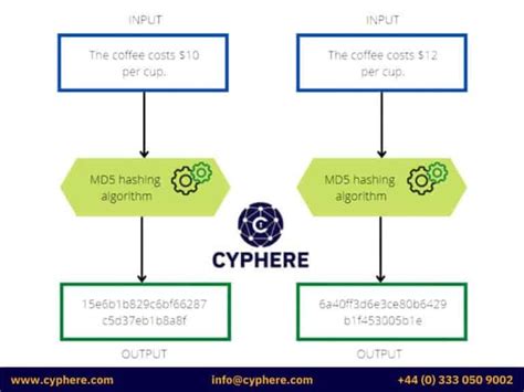 difference between encryption and hashing salt cryptography