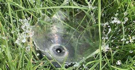 sprinklers not working correctly album on imgur