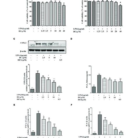 Effects Of Dc On The Levels Of Cox 2 Pge 2 Tnf α And Il 6 In