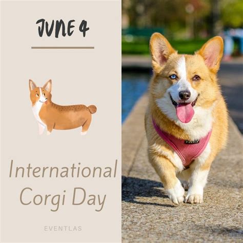 International Corgi Day 2024 Eventlas