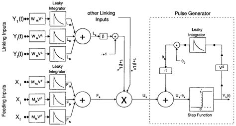 the eckhorn model neuron in a pcnn download scientific