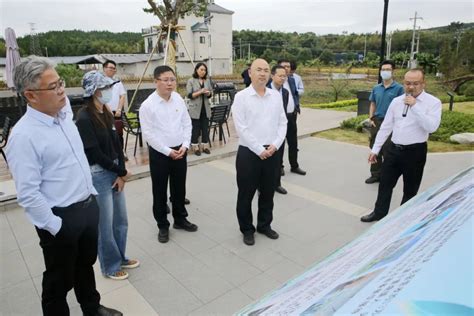 王瑞军到仁化调研民宿产业发展情况时强调 打造特色民宿 助力乡村振兴 韶关发布