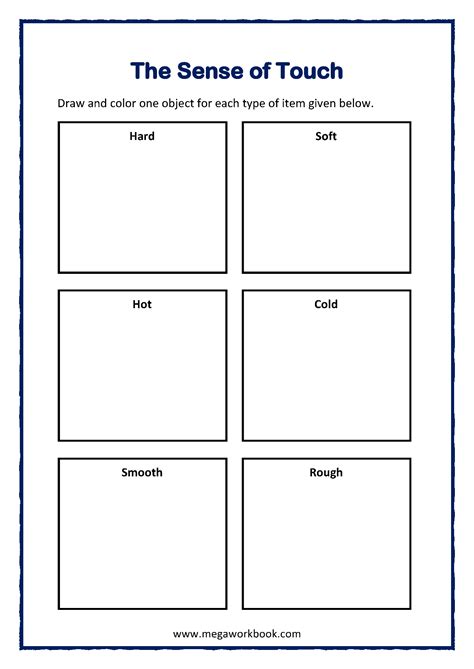 Five Senses Worksheets For Preschool And Kindergarten Megaworkbook