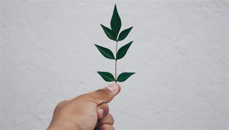 getting started with node js and mongodb nodesource