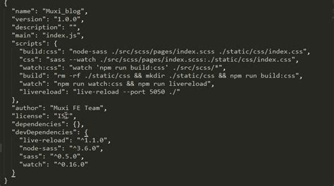 javascript npm run build css can not work while it
