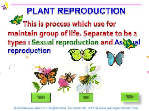 Ppt Plant Reproduction Powerpoint Presentation Free Download Id Free