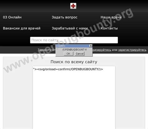 Cross Site Scripting Vulnerability Obb 493972 Open Bug
