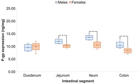 Sex Differences In Intestinal P Glycoprotein Expression In Wistar